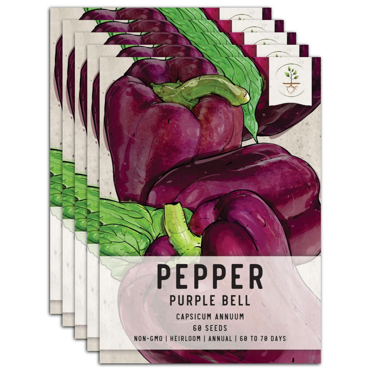 Purple Beauty Bell Pepper Seeds For Planting (Capsicum annuum) – Seed ...