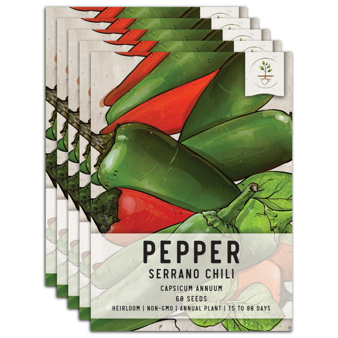Serrano Chili Pepper Seeds For Planting (Capsicum annuum) Seed Needs ...