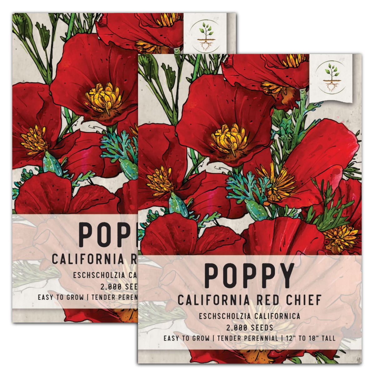 Red Chief California Poppy Seeds For Planting Eschscholzia californica ...