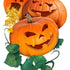 Jack O Lantern Pumpkin Seeds For Planting (Cucurbita pepo) – Seed Needs LLC