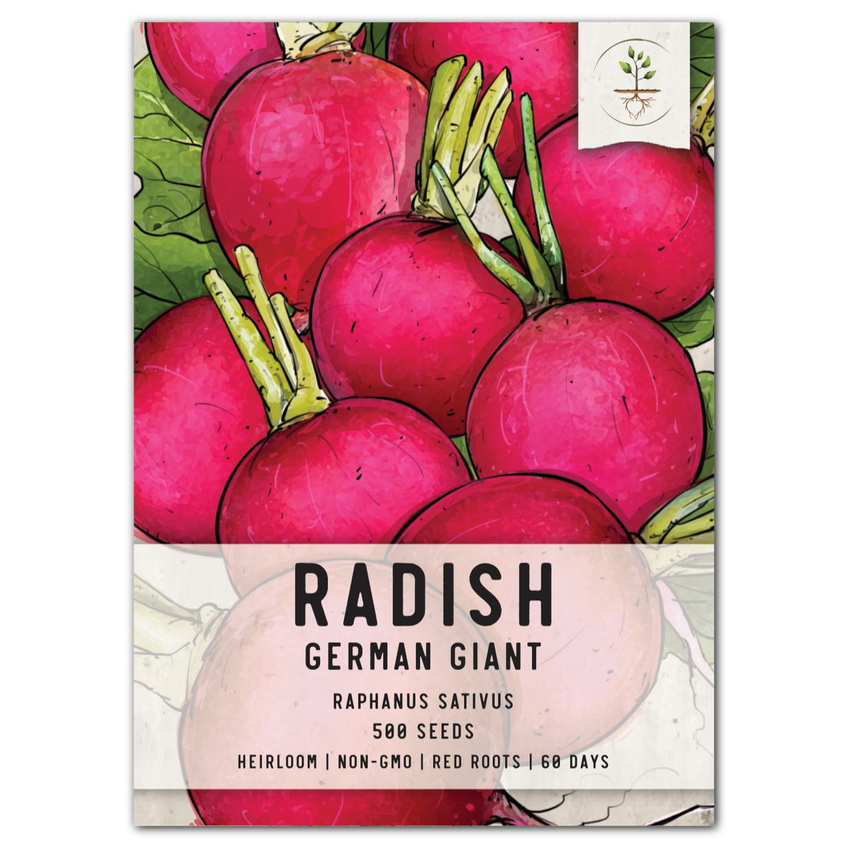 German Giant Radish Seeds For Planting (Raphanus sativus) Seed Needs ...