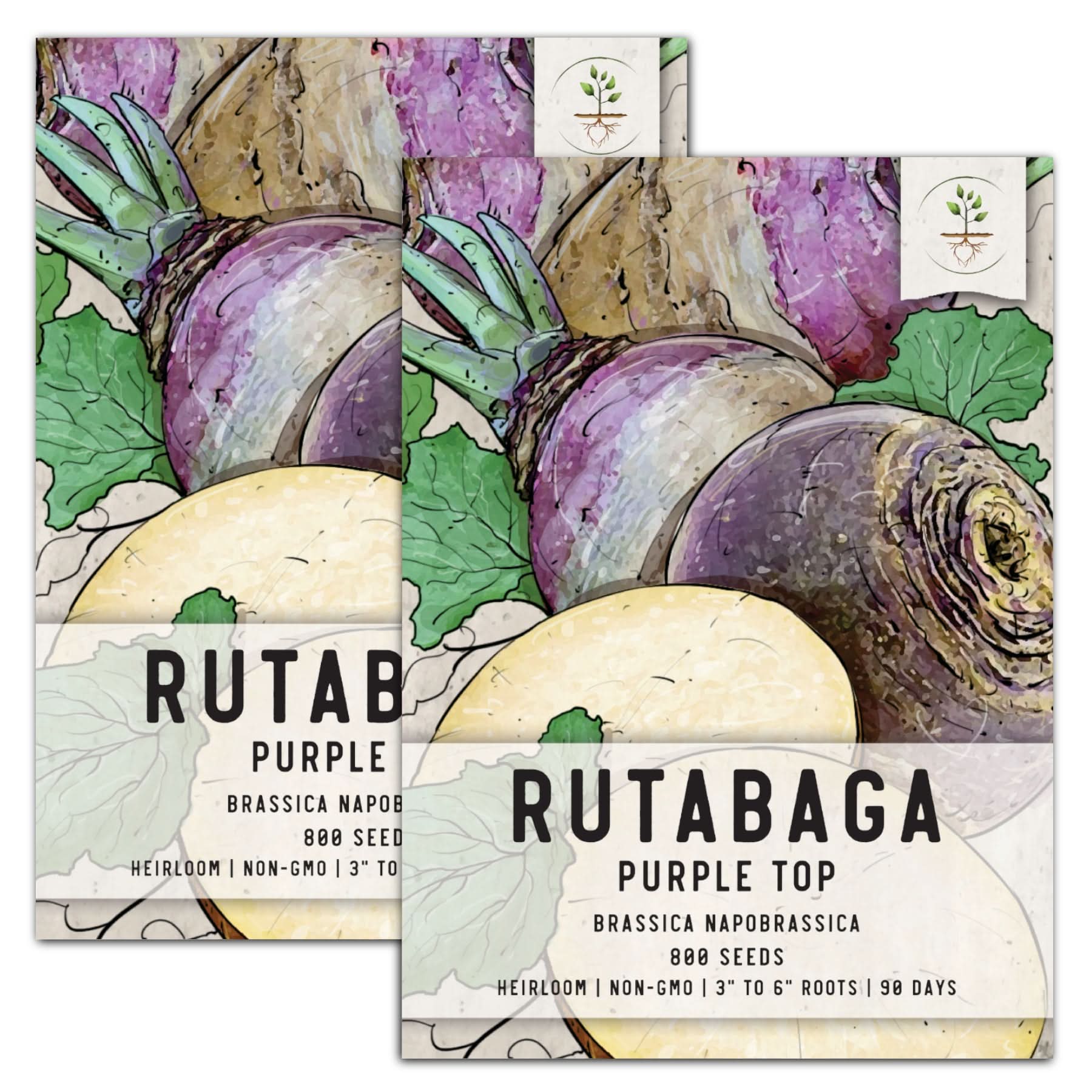Purple Top Rutabaga Seeds For Planting (Brassica napus) – Seed Needs LLC