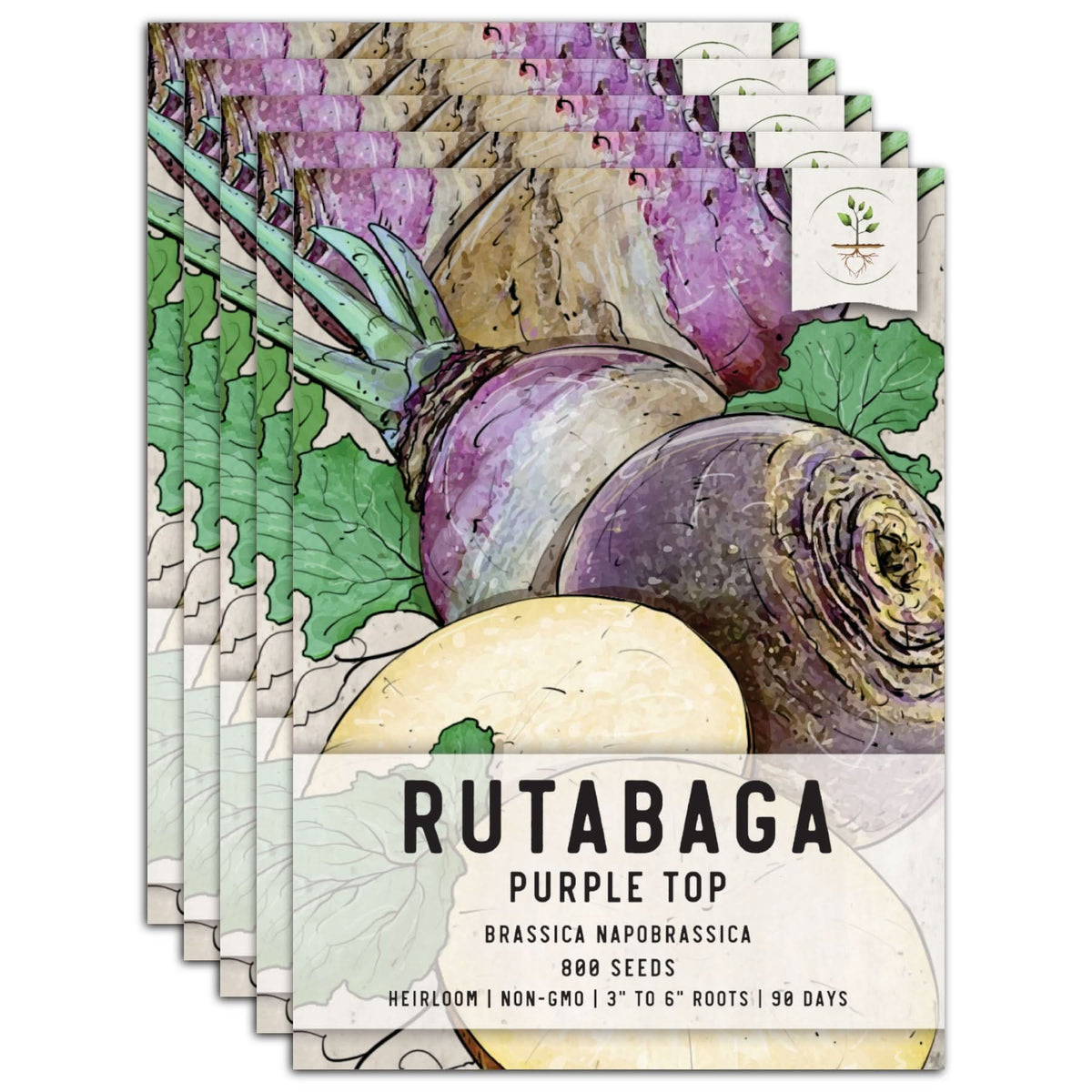 Purple Top Rutabaga Seeds For Planting (Brassica napus) – Seed Needs LLC