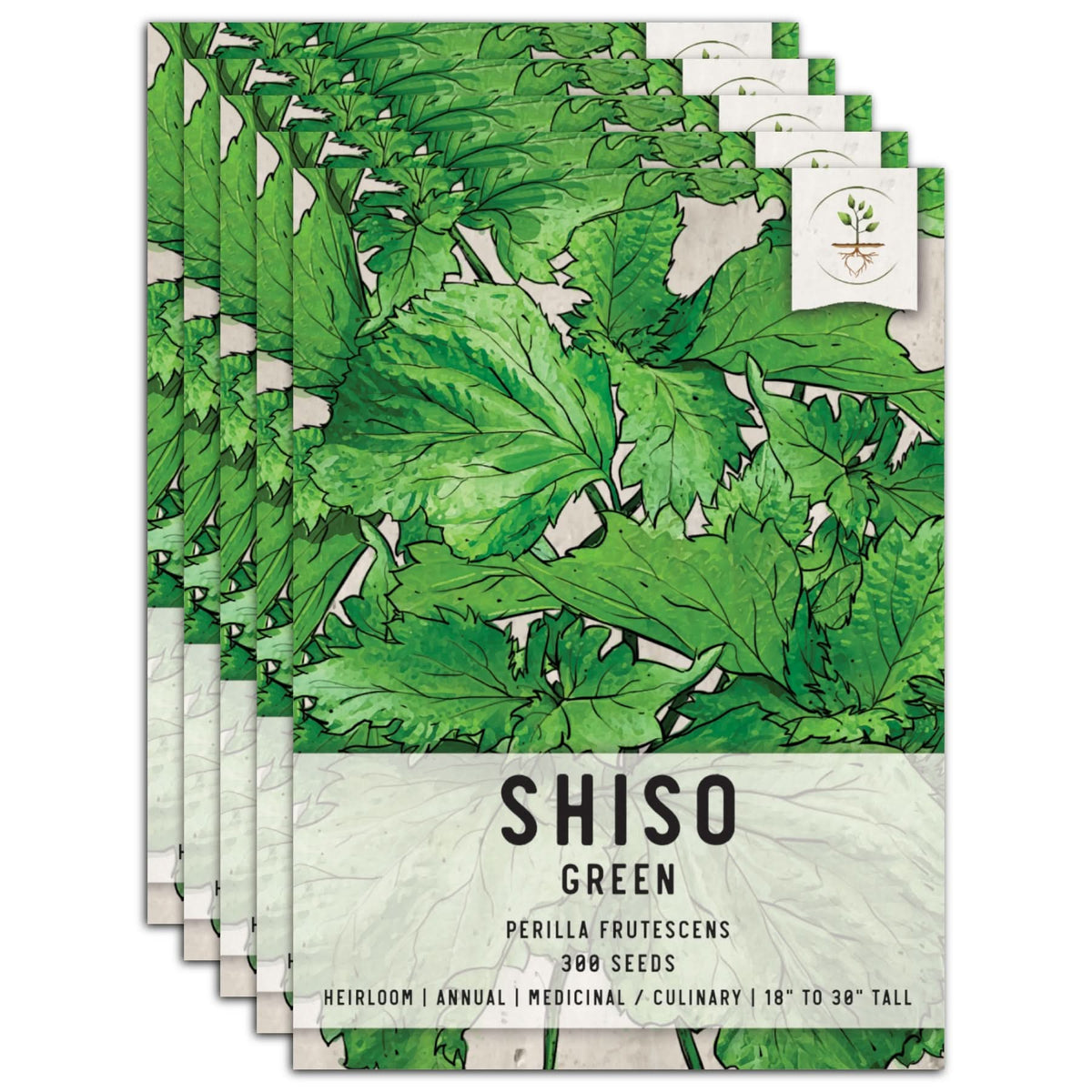 Green Shiso Seeds For Planting (Perilla frutescens) Seed Needs – Seed ...
