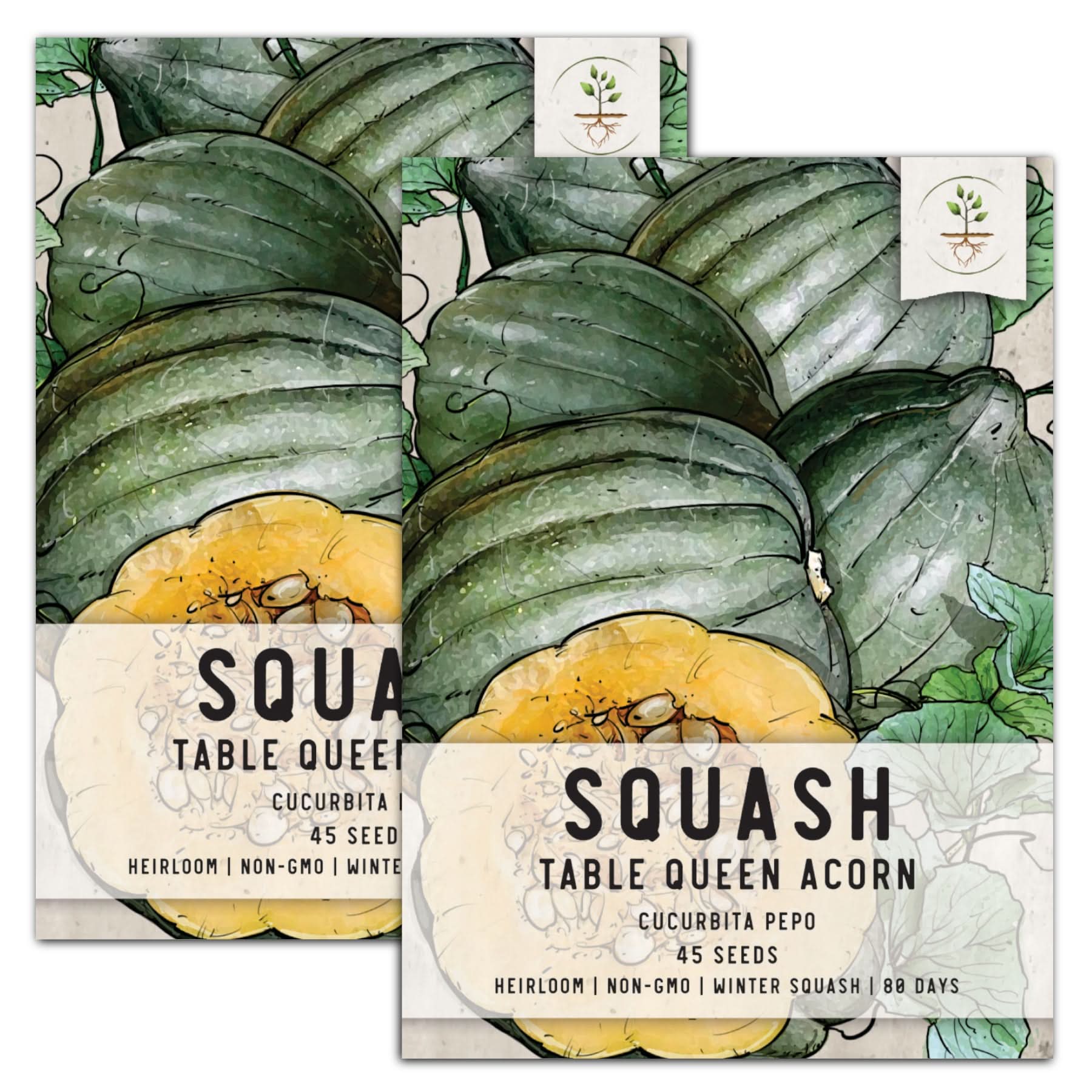 Table Queen Acorn Winter Squash Seeds For Planting (Cucurbita pepo ...