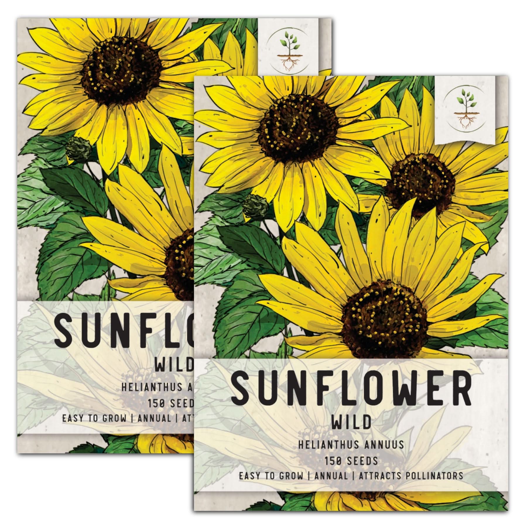 Wild Sunflower Seeds For Planting (Helianthus annuus) – Seed Needs LLC
