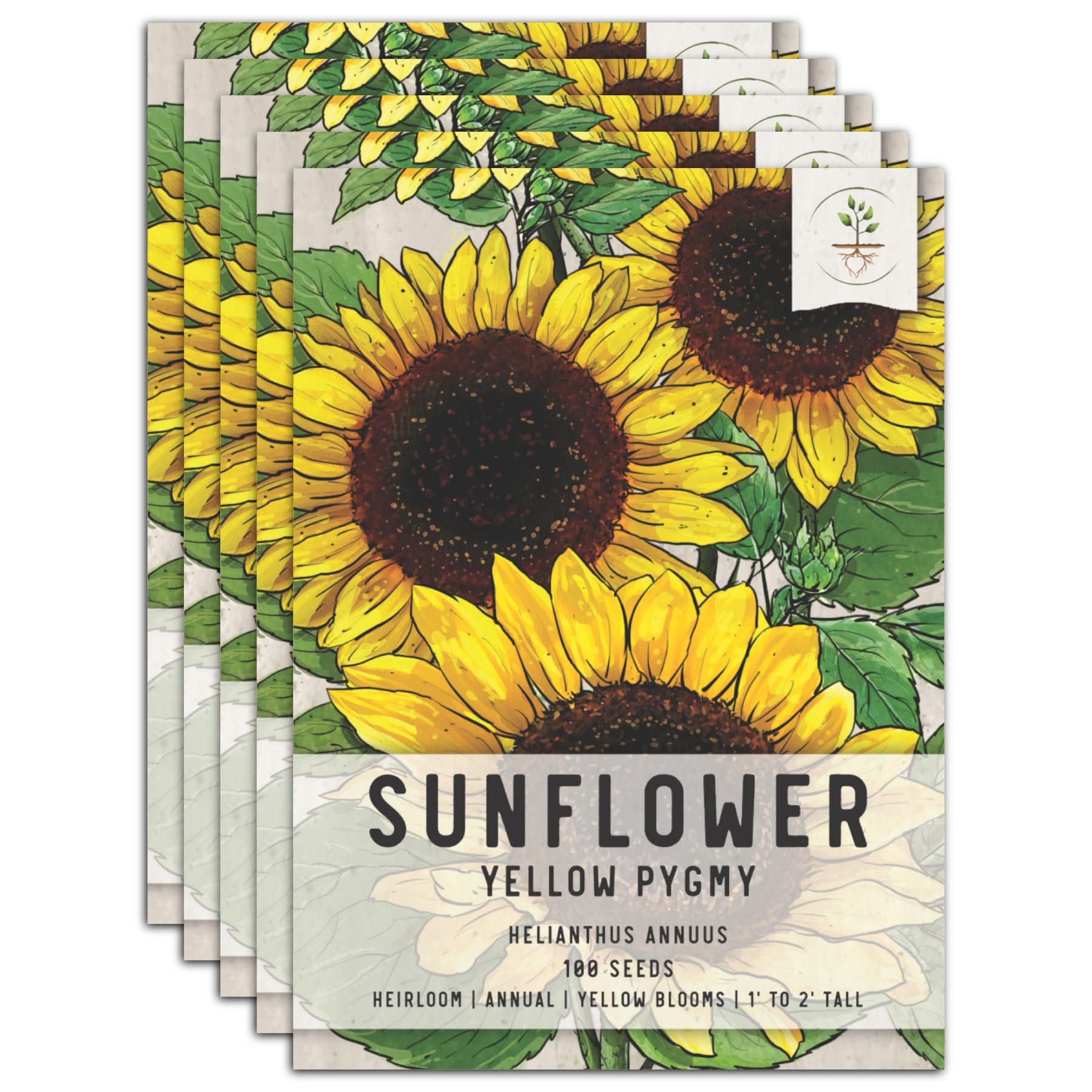 Yellow Pygmy Sunflower Seeds For Planting (Helianthus annuus) – Seed ...
