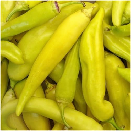 Sweet Banana Pepper Seeds For Planting (Capsicum annuum) Seed Needs ...