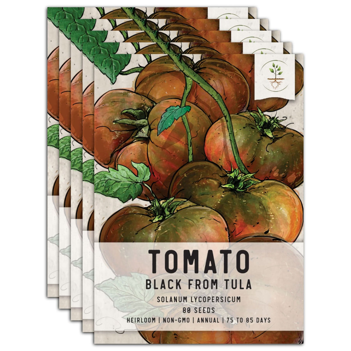 Black From Tula Tomato Seeds For Planting (Solanum lycopersicum) – Seed ...