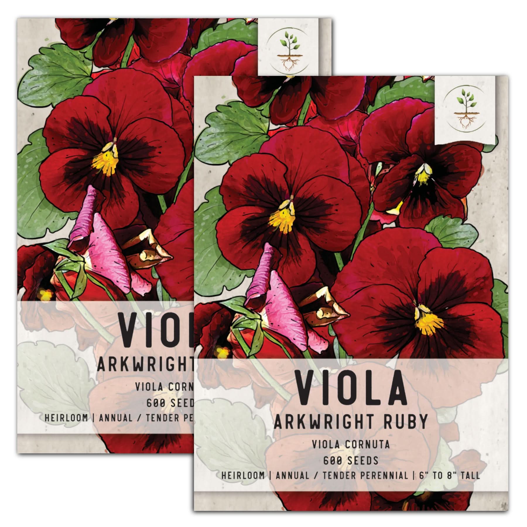 Arkwright Ruby Viola Seeds (Viola cornuta) - Seed Needs – Seed Needs LLC