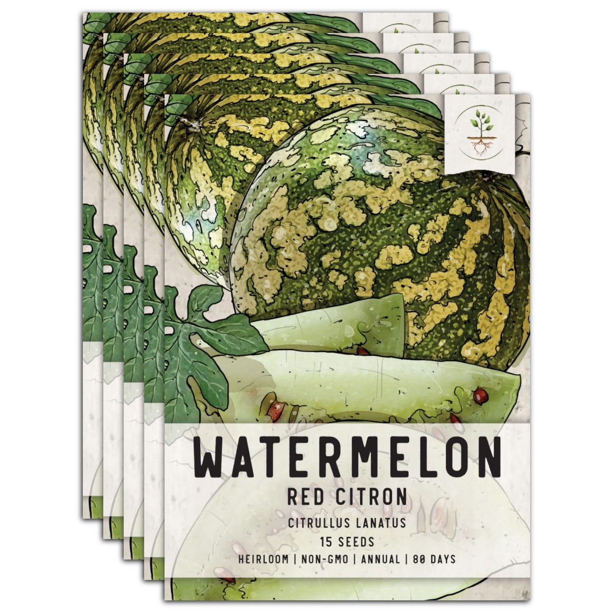 Citron Red Seeded Watermelon Seeds For Planting (Citrullus lanatus ...